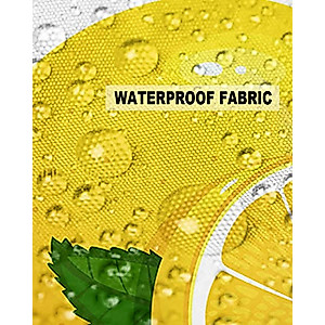 Vandarllin Outdoor Throw Pillows Covers 18X18 Set of 2 Waterproof Lemon Summer Fruit Decorative Zippered Lumbar Cushion Covers for Patio Furniture, Black White Buffalo Check Plaid