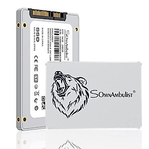Somnambulist Computer Components ssd Disk sata 3 Built-in Hard Disk Storage Suitable for Personal Computers and laptops 2tb 120gb 960gb 240gb (White Bear 2TB)
