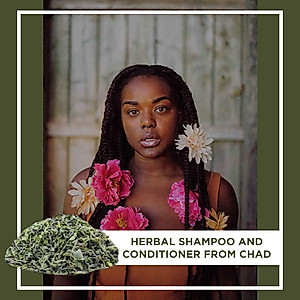 Roselle Naturals Ambunu Shampoo 150 grams, Detangler Shampoo from Chad, Africa, Ambunu Leaves for Hair Growth Shampoo Herbal, Ambunu Powder Herbal Shampoo Organic, African Shampoo for Hair Growth
