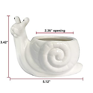 GeLive Ceramic Succulent Planter, White Snail Plant Pot with Drainage Hole, Animal Bonsai Holder Window Box for Cactus, Succulent Plants Home Office Garden Flower Pot Gifts for Plants Lover