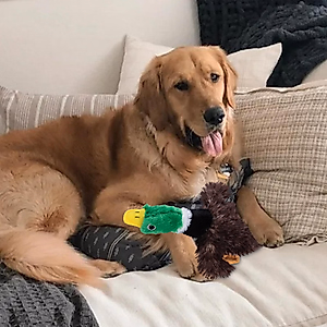 MCGOS Plush Animal Dog Toys, Squeaky Stuffed Animal Toys, Durable Squeaky Teething Dog Toys, Interactive Soft Plush Puppy Chew Toy, Pet Toys, for Small, Large Dogs Boredom Relief, Training, Playing