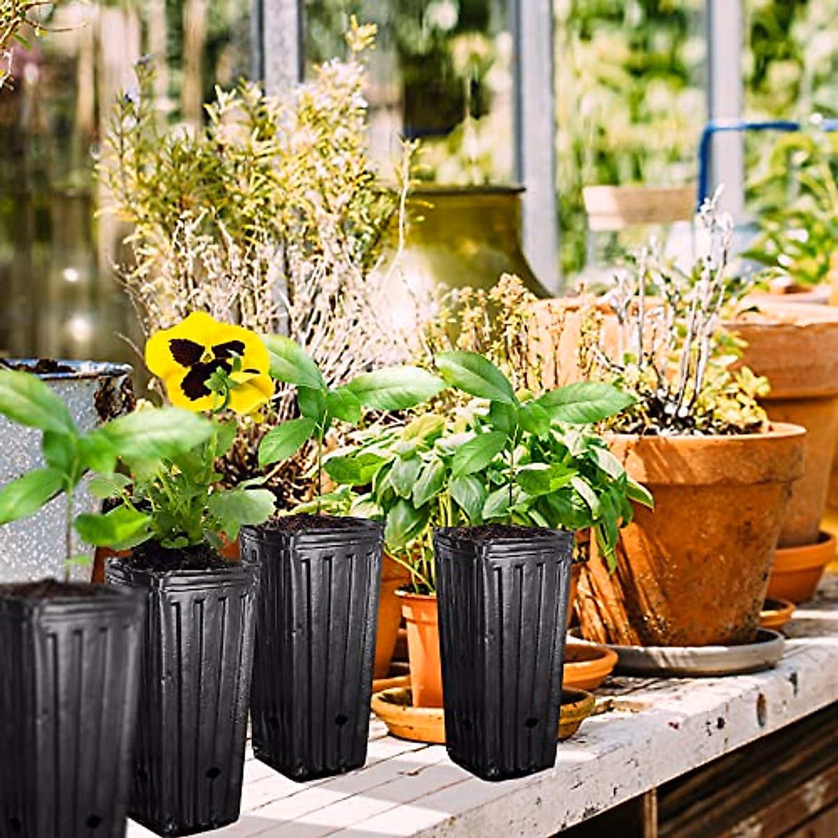 Iceyyyy 40Pcs Tall Tree Pots,Plastic Deep Nursery Treepots,7.8" Tall Seedling Flower Plant Container Pots for Indoor Outdoor Garden Plants (40pcs)