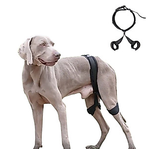 Garden Miller Adjustable Dog Knee Brace,Dog ACL Hind Leg Brace,Support with Cruciate Ligament Injury, Joint Pain and Muscle Sore_S