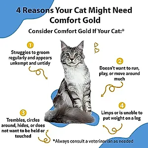 Pet Wellbeing Comfort Gold for Cats - Vet-Formulated - Supports Feline Physical Comfort - Natural Herbal Supplement 2 oz (59 ml)