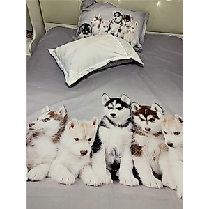 JF-107 3pcs Husky Babies 3D Digital Animal Print Bed Sheet Set Dogs Duvet Cover Set Grey Bedding Sets Twin Full Queen King Size, not Comforter (Twin)