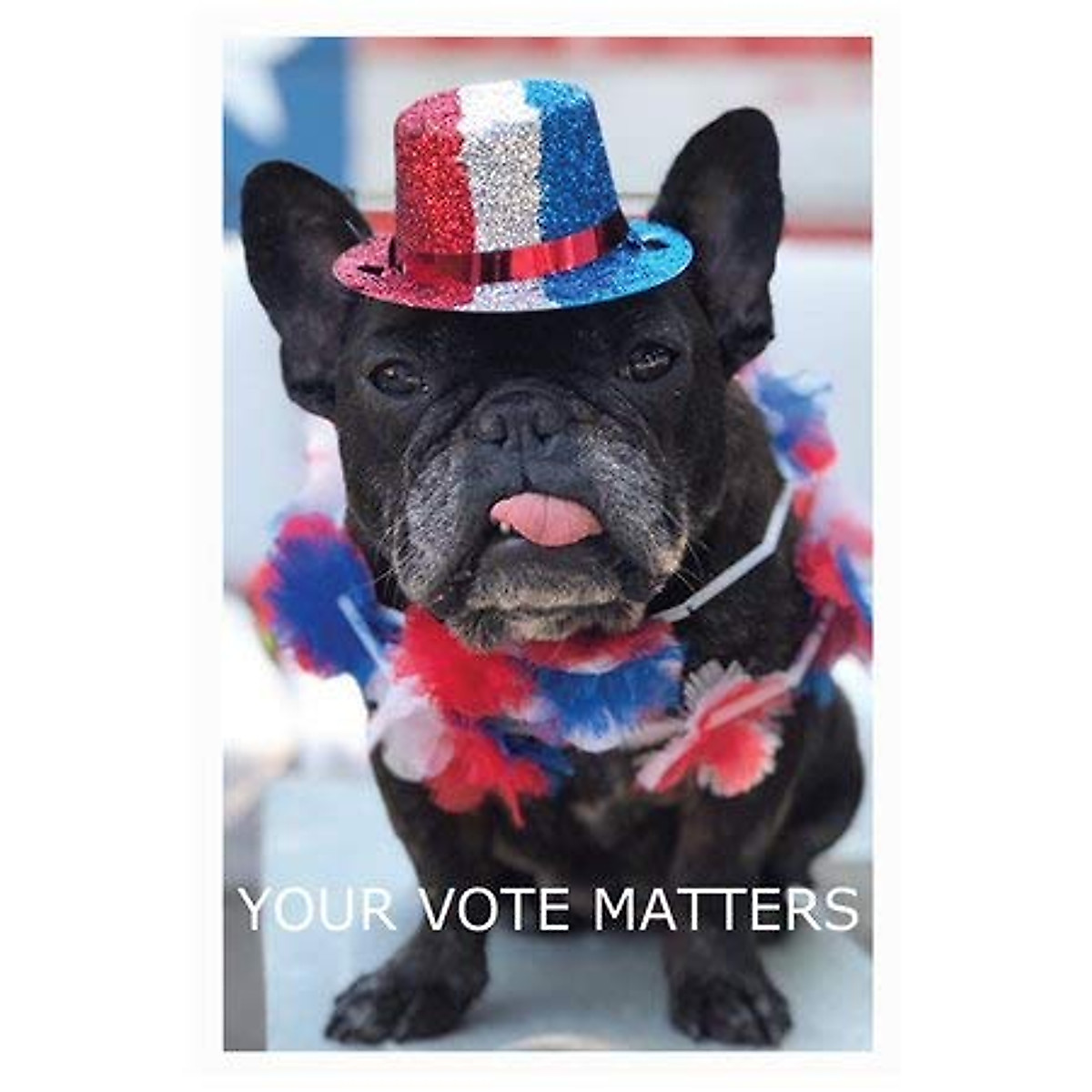 Postcards to Voters - 150 Pack (Your Vote Matters)