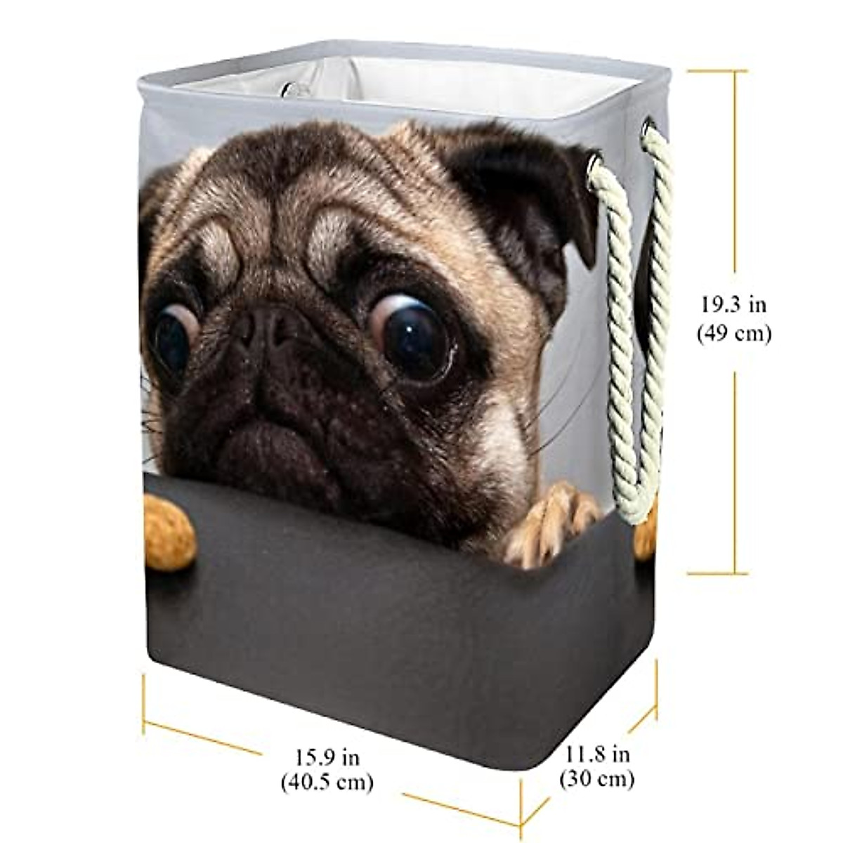 Laundry Hamper Beautiful Male Pug Puppy Dog Collapsible Laundry Baskets Firm Washing Bin Clothes Storage Organization for Bathroom Bedroom Dorm