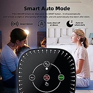 Upenjok Fly Trap Indoor - Killer for Mosquito, Gnat, Fruit Flies, Moth - Non-Zapper Traps for Home with 10 Strong Sticky Glue Boards and 5 Mosquito Luring (Black)