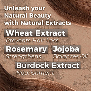 Tio Nacho All day Volume shampoo ? Royal Jelly 14 Oz (Pack of 2)