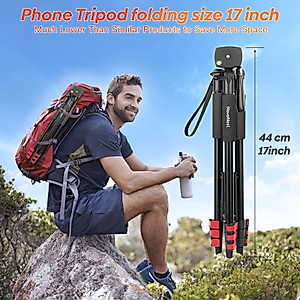 65” Phone Tripod, Tripod for iPhone, Cellphone Tripod with Remote Shutter & Phone Holder for Live Streaming & Video Recording, Compatible with iOS/Android/Camera (Included Carry Bag)