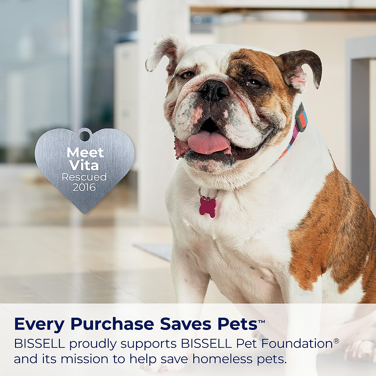 BISSELL SpotClean Pet Pro Portable Carpet Cleaner, 2458, Grapevine Purple, Black