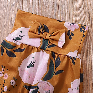 BIRTHDAY SHARK Big Sister Little Sister Matching Outfits Matching Outfits for Girls Little Sister Outfit (Yellow-Little Sister,0-3 Months)