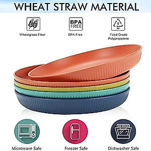 PUPOPIK 9 Inches Unbreakable Wheat Straw Plates - Reusable Plate 4 Set - Dishwasher & Microwave Safe - Dinner Dishes- Healthy BPA Free, Salad Platest - Camping Picnic Plastic Plate for Kids
