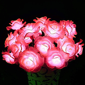 WONFAST Solar Flower String Lights, Waterproof 20FT 30LED Rose Flower 8Mode Solar Starry Ambiance Lighting Fairy String Lights for Gardens Path Home Wedding Party Christmas Decor (Red)