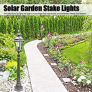 MIGONG Solar Garden Lights, Waterproof Garden Lights Outdoor Solar Lights Outdoor Garden Solar Garden Stake Lights for The Garden Trees Flowers Flowerbed Fence Walkway (Purple Color)