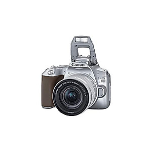Canon EOS 250D (Rebel SL3) DSLR Camera w/ 18-55mm is STM Lens (Silver) (International Model) (Renewed)