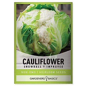 Cauliflower Seeds for Planting - (Snowball Y Improved) is A Great Heirloom, Non-GMO Vegetable Variety- 1 Gram Seeds Great for Outdoor Spring, Winter and Fall Gardening by Gardeners Basics