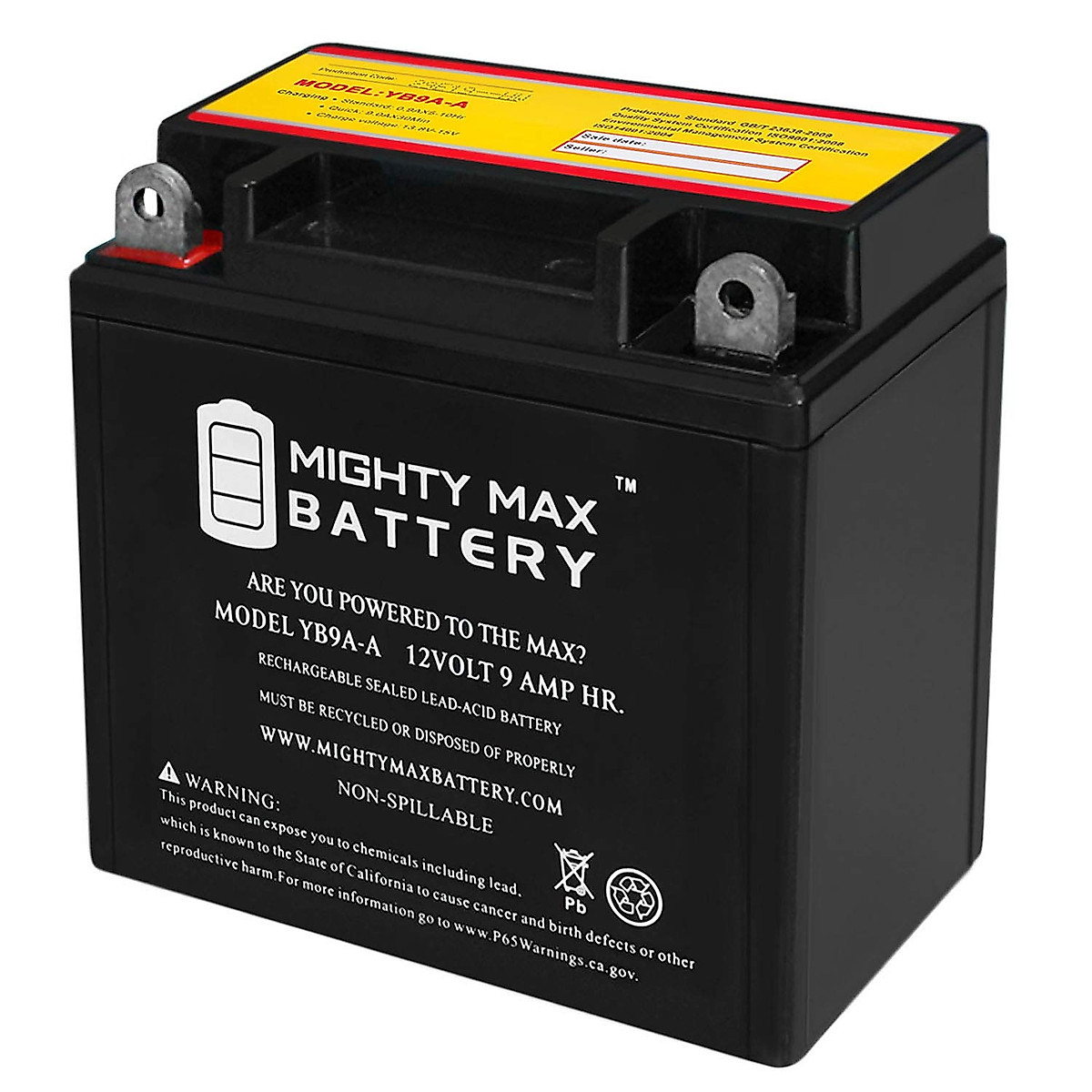Mighty Max Battery YB9A-A 12V 9AH 130 CCA Battery Replaces Banshee YB9-B Motorcycle