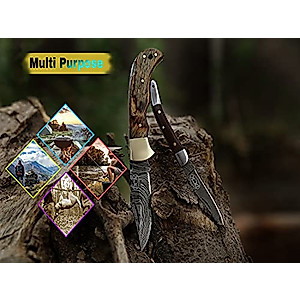 BCK Pocket Knife 4 Pcs Set 6.5" Handmade Damascus Folding Knife Back lock knife Damascus Hunting Knife with Sheath Damascus Pocket Knife for men 100% Prime Quality camping Knife (Brown Wood)