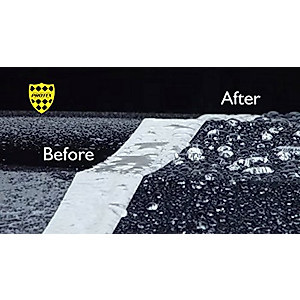 PROTEX Convertible Soft Top Care Kit with Canvas Cleaner & Waterproofer - 1 Ltr, Two Applicator Brushes and One Soft Top Cleaning Brush - BRUSH KIT.…