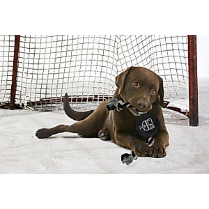 Pets First NHL Los Angeles Kings Puck Toy for Dogs & Cats. Play Hockey with Your Pet with This Licensed Dog Tough Toy Reward!