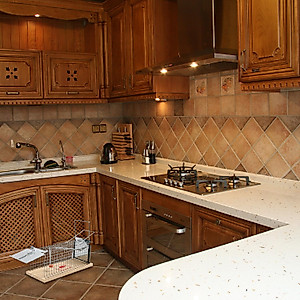 SJKHYTY Rat cage, Chipmunk, Rat, Mouse Rodent Trap, Suitable for Indoor and Outdoor Vole Hamsters, Live Traps and Ready Release