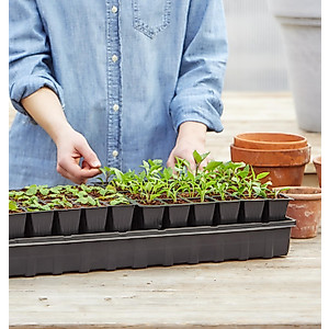 Burpee Self-Watering Seed Starter Tray, 72 Cells