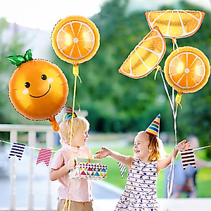 Gejoy 10 Pieces Citrus Balloons Orange Fruit Balloons Cartoon Fruit Aluminum Foil Balloons Jumbo Birthday Tangerine Balloons for Baby Shower Summer Citrus Themed Boy Girl Birthday Party Decor Supplies