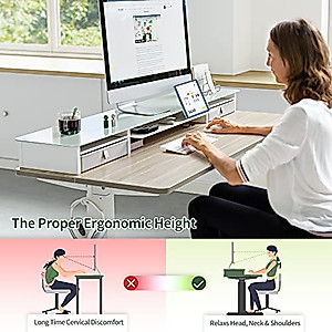 FEZIBO 48 x 24 Inch Height Adjustable Glass Electric Standing Desk with Double Drawer, Stand Up Desk with Storage Shelf, Sit Stand Desk, Light Walnut