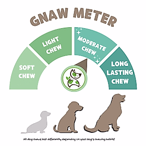 Nature Gnaws Beef Gullet Chews for Large Dogs 9-10" (10 Count) - Natural Beef Jerky Stick Dog Chew Treats - Rawhide Free