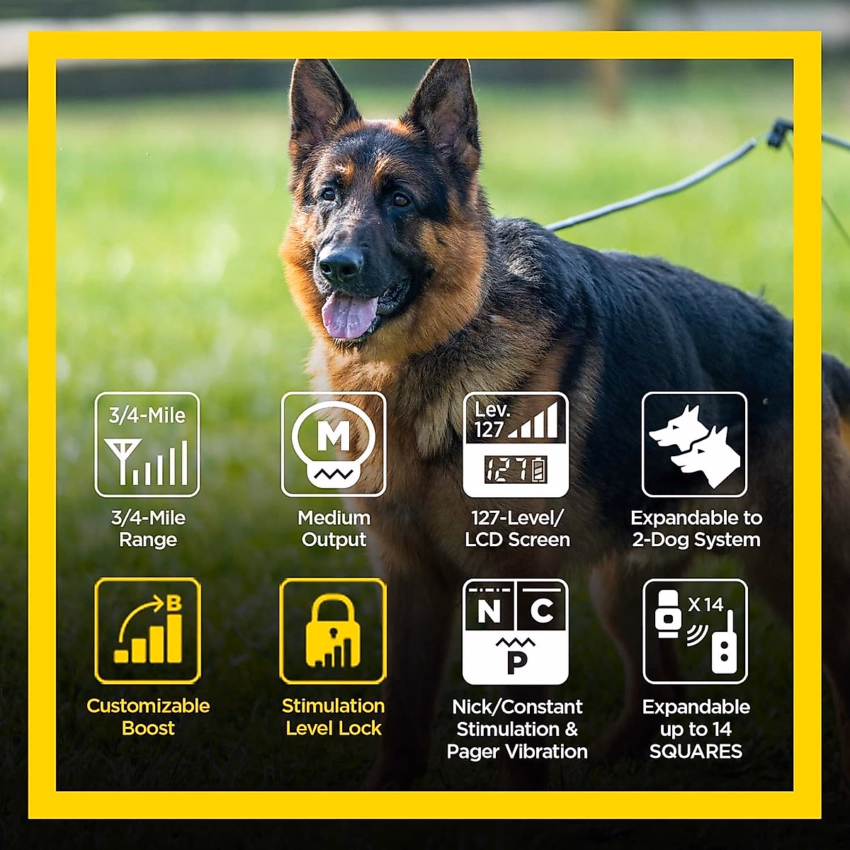 Dogtra ARC HANDSFREE Plus Boost and Lock, Remote Dog Training E-Collar, HANDSFREE Square for Discreet Control, Waterproof, Rechargeable, 3/4-Mile Range, 1 Dog Expandable System Medium, Large Dogs