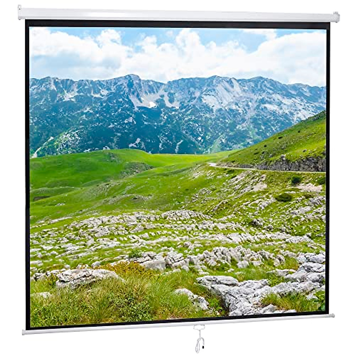 119" Projector Screen Manual Pull Down, Outdoor Movie Screen, 1:1 4K HD Wrinkle-Free Portable Projection Screen for Movie Home Office Presentation Video Game, Enjoy Outdoor Film Night, Easy to Set Up