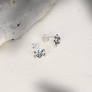 AeraVida Stylish Sterling Silver Skull & Crossbones Post Stud Earrings