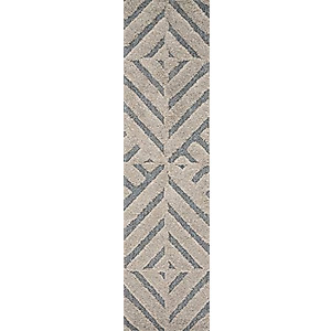 Loloi ENCOEN-32GYSL Indoor Area Rugs, 2'-3" x 8'-0" Runner, GrayGray