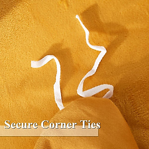 Ivellow Velvet Duvet Cover Queen Set Gold Velvet Duvet Cover Queen Velvet Comforter Cover 3Pcs Ultra Soft Duvet Cover Breathable Solid Luxury Flannel Velour Duvet Cover Zipper Closure Corner Tie