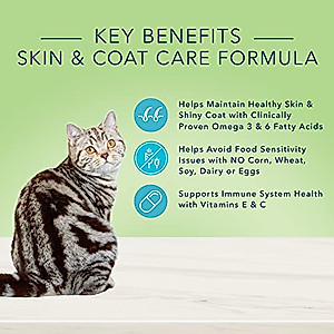 Blue Buffalo True Solutions Perfect Skin & Coat Natural Adult Dry Cat Food, Salmon 11-lb