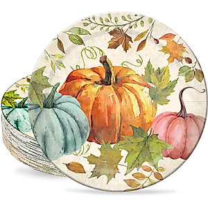 AnyDesign 40Pcs Thanksgiving Fall Paper Plates Watercolor Pumpkins Round Disposable Plates Retro Pumpkin Harvest Design Plates for Fall Theme Party Holiday Banquet Dinnerware Supplies