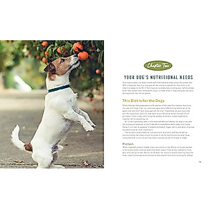 Easy Dog Food Recipes: 60 Healthy Dishes to Feed Your Pet Safely