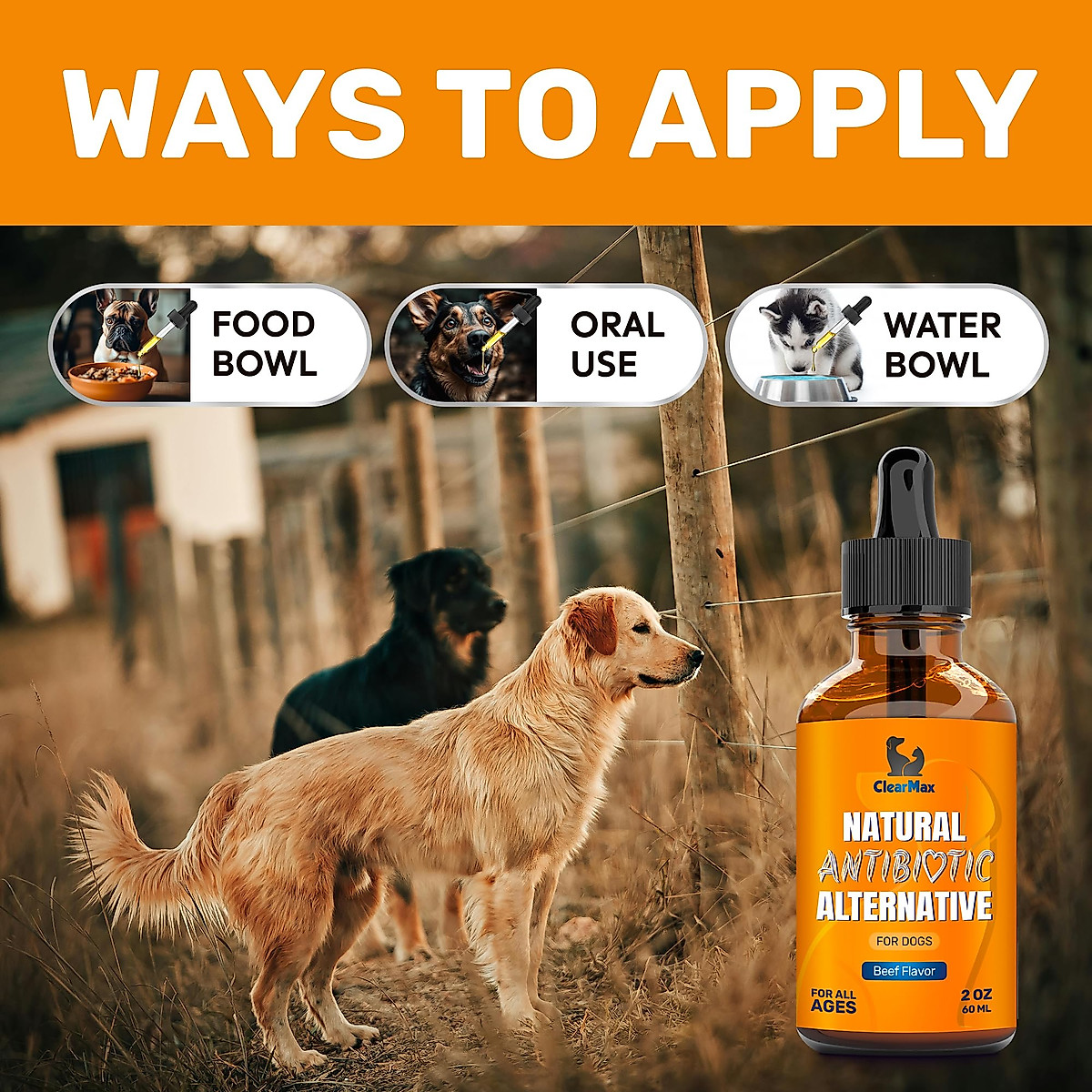 Antibiotic for Dogs ◆ Dog Antibiotic ◆ Natural Antibiotics for Dogs ◆ Pet Antibiotic ◆ Dog Antibiotics with Beef Flavor ◆ 2 Oz