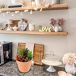 Briful Small Succulents Artificial 2 Pcs Fake Succulent Plants Faux Succulents in Pots Assorted Succulent Arrangements for Home Office Bathroom Room Shelf Rustic Farmhouse Windowsill Decor