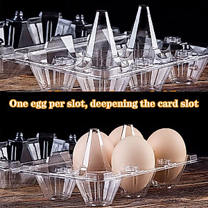 QXBXYHM Plastic Clear Egg Carton for 8 Eggs, 20packs Egg Tray Reusable Medium Size Egg Cartons Perfect, Clear Empty Chicken Egg Tray Egg Holder for Family Pasture Farm Market