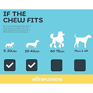 hotspot pets Small Premium Deer Antler for Dogs (3 Pack) - 4-8 Inch Long Lasting Antler Dog Chews Naturally Shed Deer Antlers Bone for Small & Medium Breed Aggressive Chewers - Sourced in USA