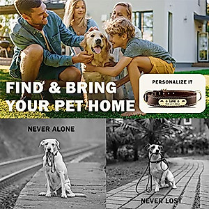 Personalized Dog Collar - Custom Leather Dog Collar with Engravable Nameplate - Durable Name Tag Collar - Customizable Dog Collar - Comfortable ID Collars for Small, Medium, Large Dogs (Small)