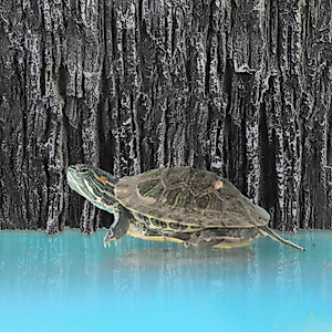 Ipetboom Background Rock 3D Aquarium Background Aquarium Background Board Snake Habitat Decoration Fish Tank Decorations Aquarium Backgrounds Fish Tank Background Terrarium Background