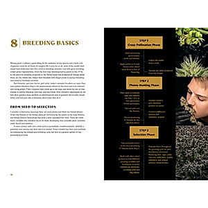 Higher: The Lore, Legends, and Legacy of Cannabis