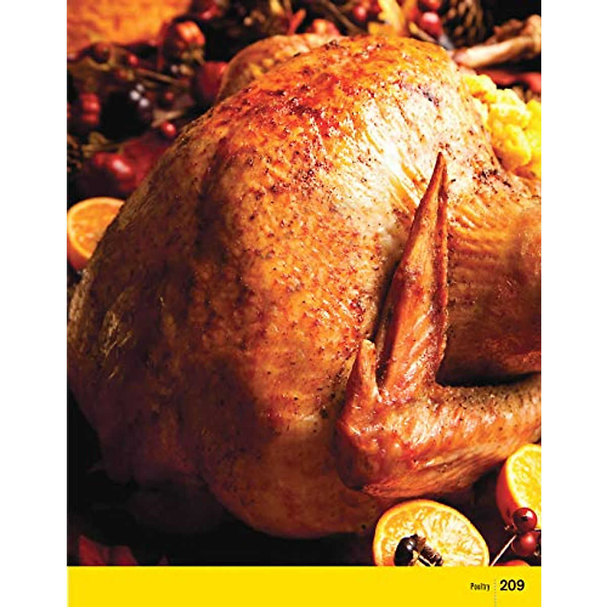 Char-Broil Great Book of Grilling: 300 Tasty Recipes for Every Meal: Delicious Appetizers, Meat, Veggies & More (Creative Homeowner) Over 300 Mouthwatering Photos & Easy-to-Make Recipes for Your Grill