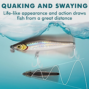 TRUSCEND Pencil Fishing Lures with BKK Hooks, Quake Sinking Floating Pencil Popper, Trembling Sinking Dog Walker for Freshwater and Saltwater, Long-Cast Topwater Fishing Lures, Bass Pike Fishing