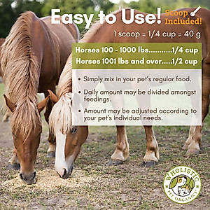 Wholistic Pet Organics Equine Complete: Horse Multivitamin for Total Body Health - Horse Supplement with Vitamins, Minerals, Prebiotics, Probiotics, Antioxidants and More - 4 Lb
