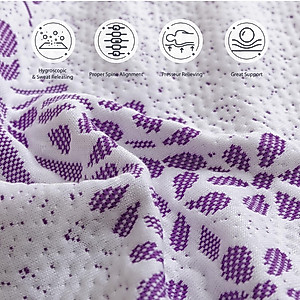 Dyonery 8 Inch Lavender Infused Memory Foam Mattress Queen Size, Pressure Relief, Bed in a Box, CertiPUR-US Certified