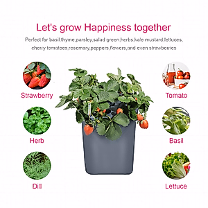 Lawnful 4 Hydroponic Buckets Kit for Plants, Hydroponics Growing System for Herbs/Tomato/Vegetables, DWC System with Air Pump & Germination Tray (Complete Indoor Hydroponic Gardening Supplies)